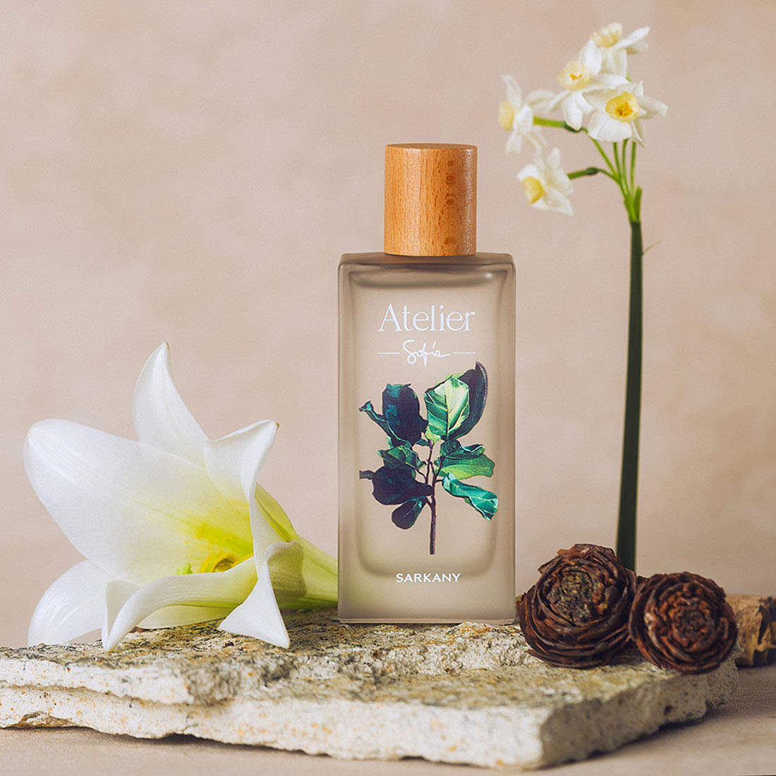 Sofía Atelier A01 EDP de Sarkany - Beauty24