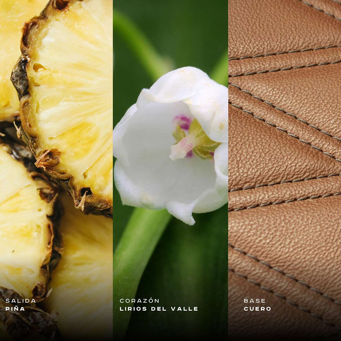 Club de Nuit Intense Man Parfum Ed. Limitada de Armaf - Beauty24