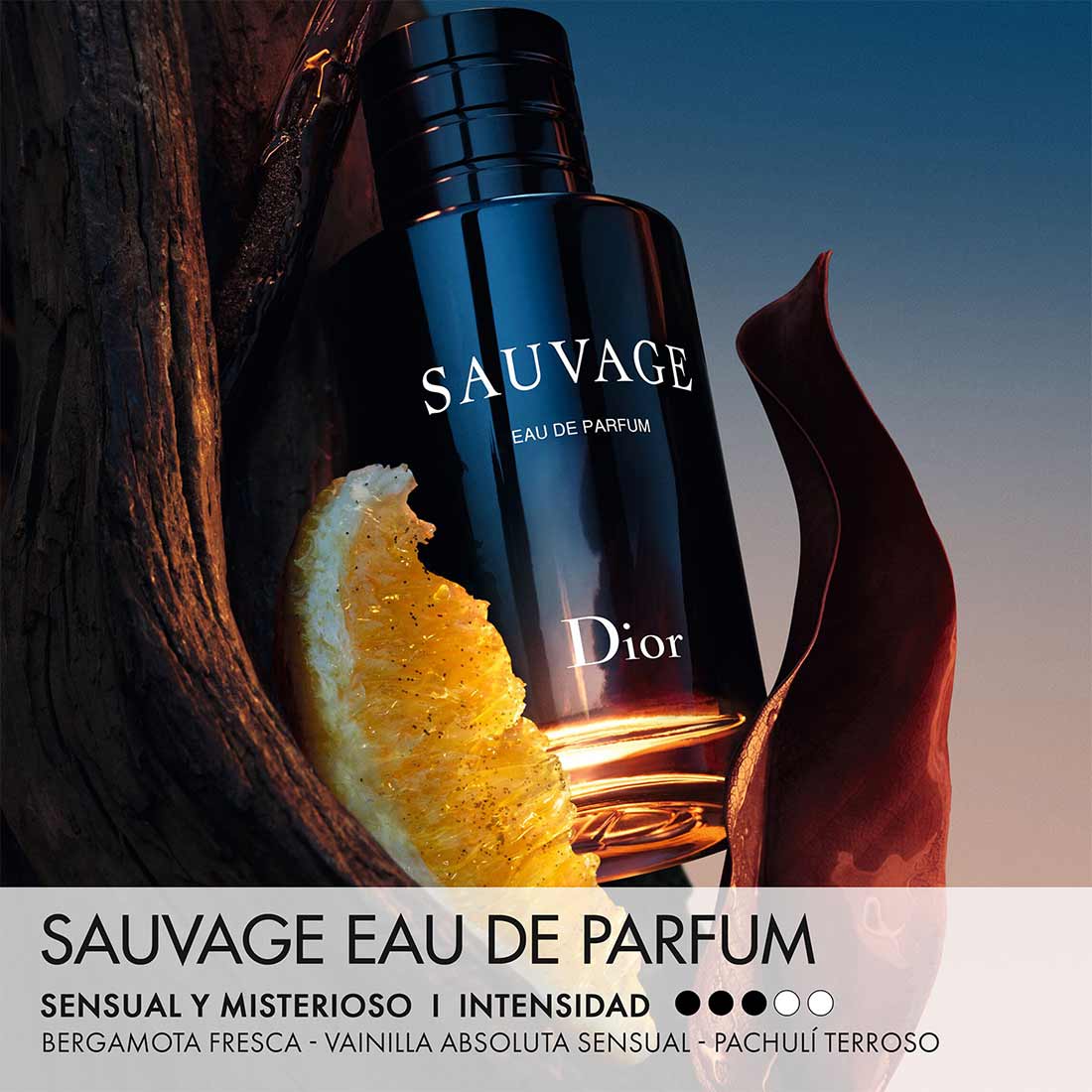Sauvage EDP de Dior - Beauty24
