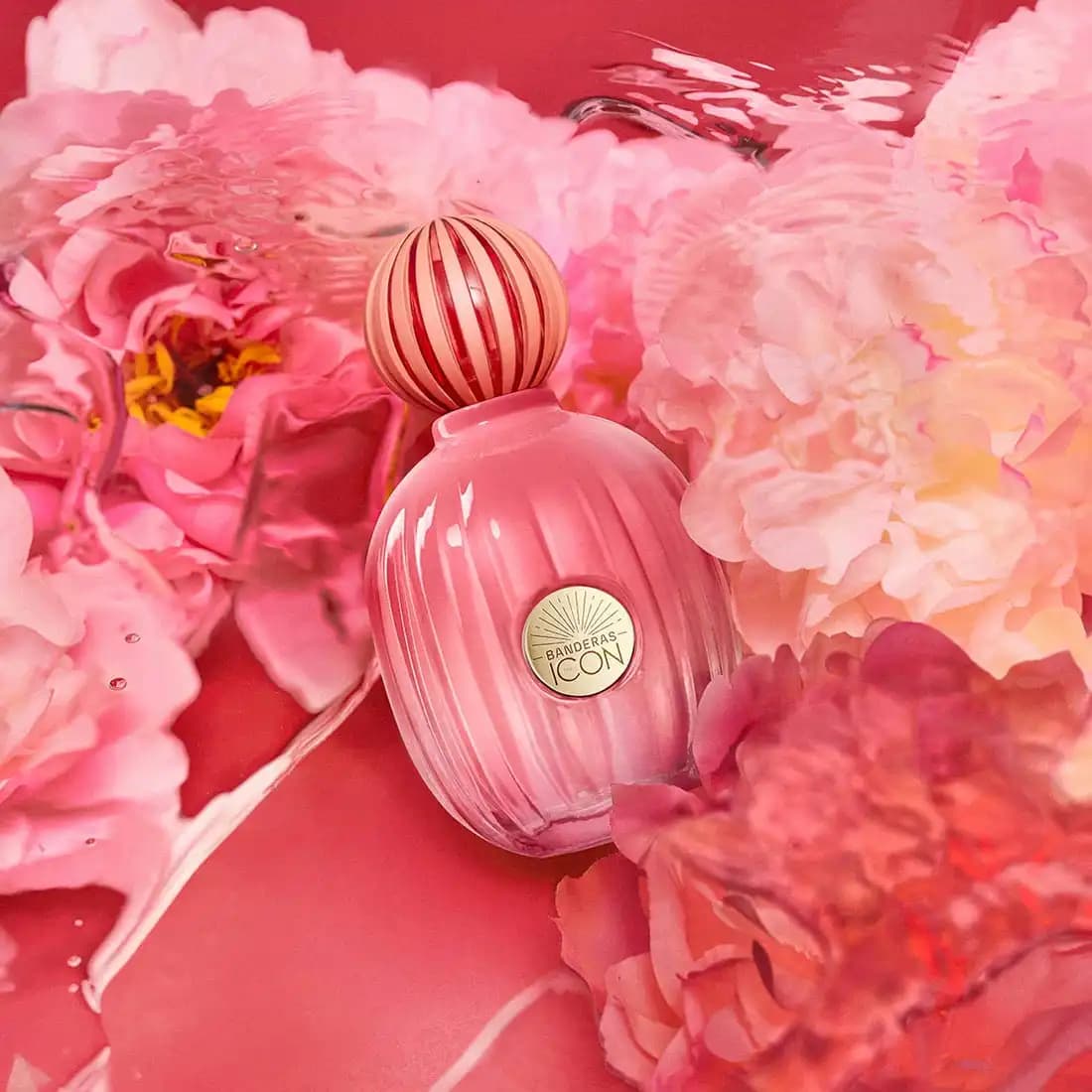 The Icon Splendid EDP 100 ml Set de Banderas - Rouge Beauté Perfumerías